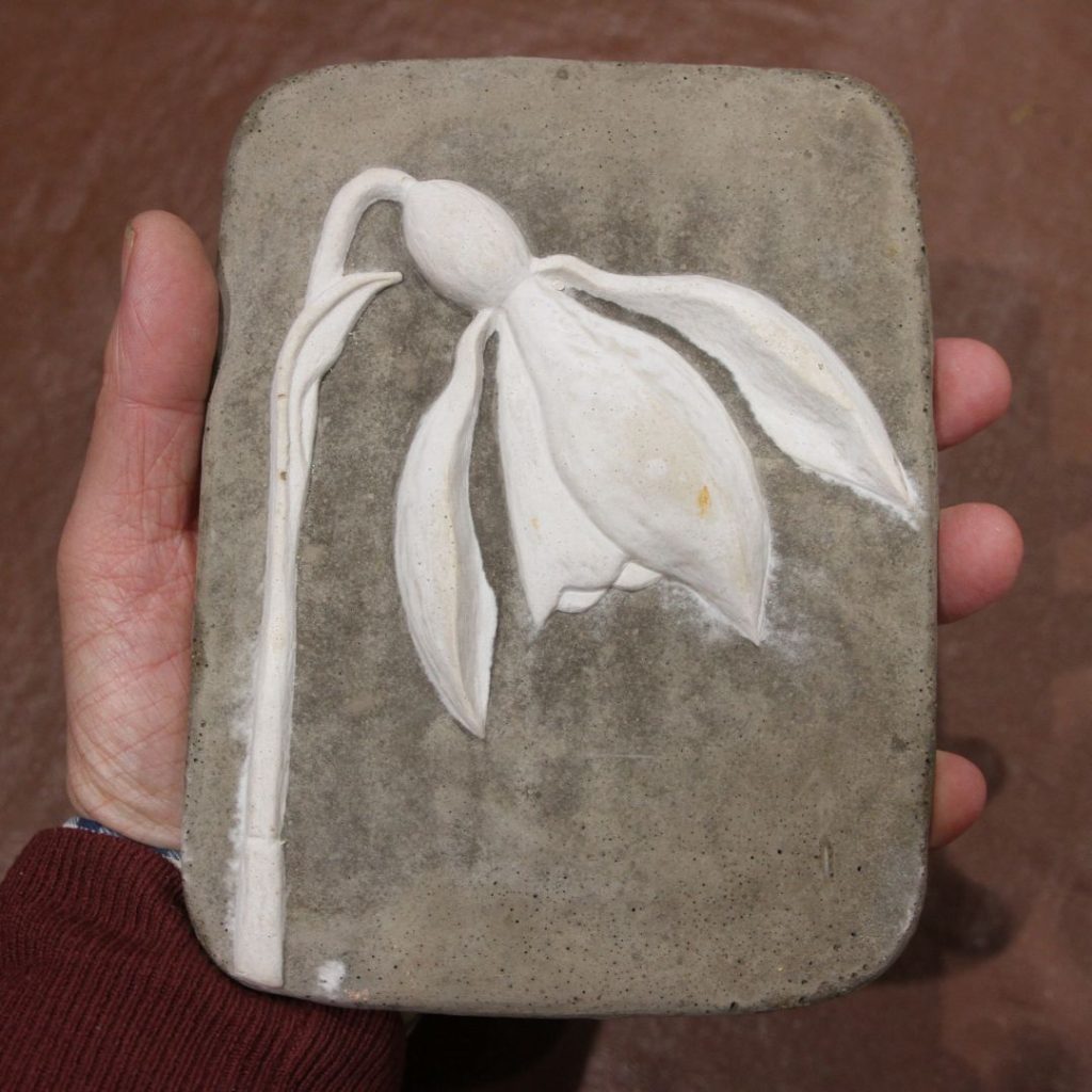 Fiona Wallace – Open Studios