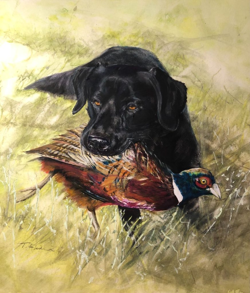 Tracey Larkin – Open Studios